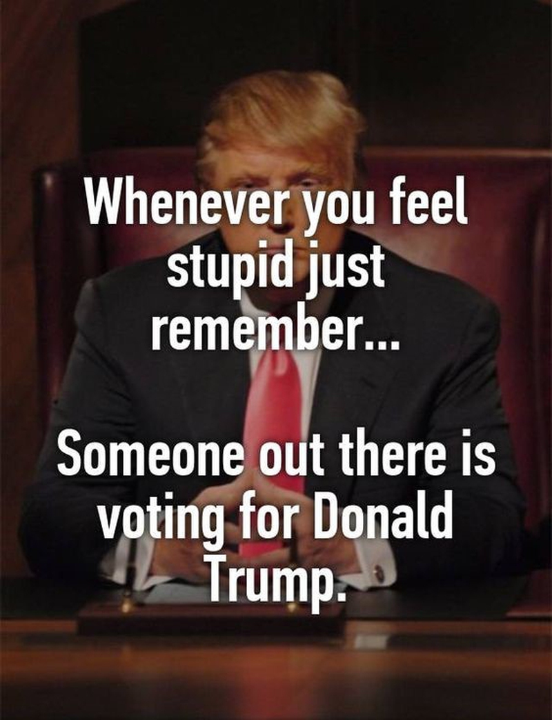 25 Quotes about Feeling Stupid - EnkiQuotes