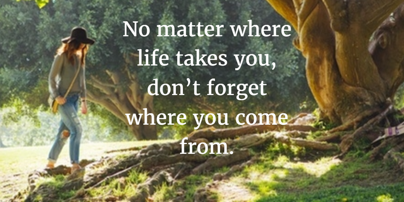 Inspirational Never Forget Your Roots Quotes to Help You Stay Grounded ...