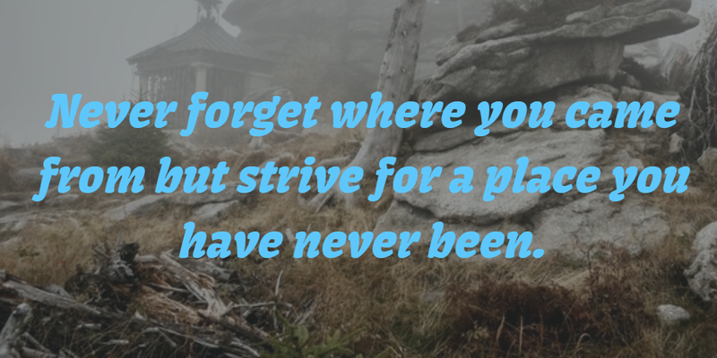 Inspirational Never Forget Your Roots Quotes to Help You Stay Grounded ...